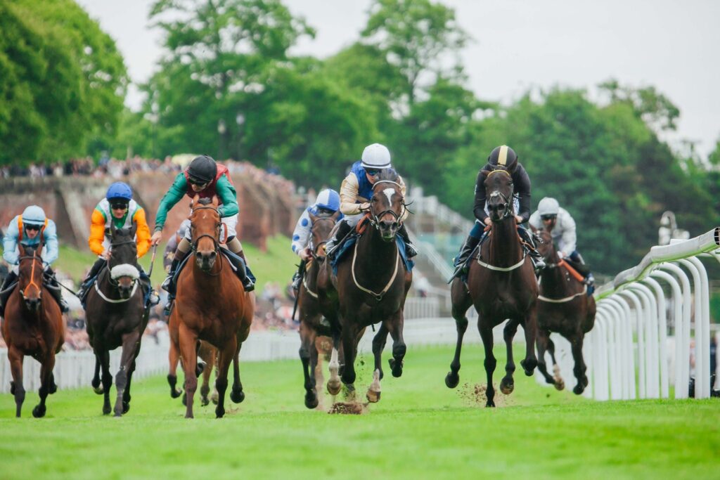 CHESTER RACES | Chester FC Welcomes Fans Back Fillies' Handicap takes ...